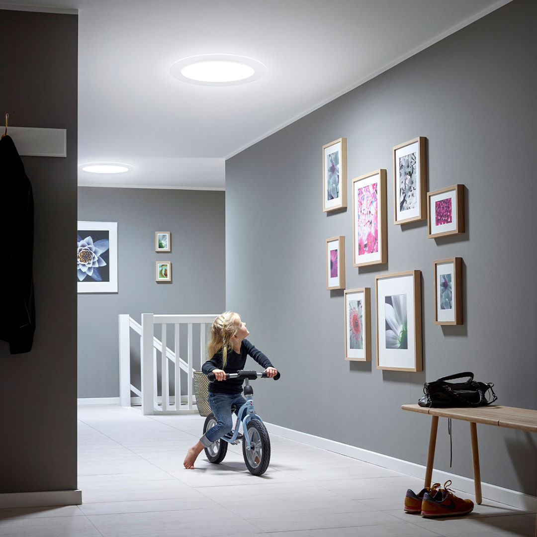 Velux Skylights - Windows & Doors By Brownell
